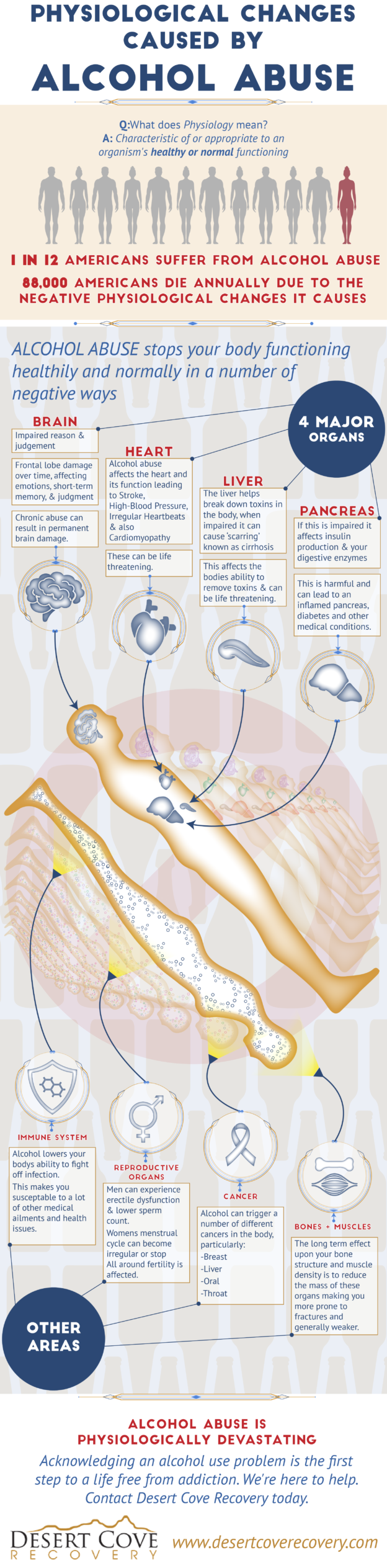 Physiological Changes in Alcohol Abuse | Desert Cove
