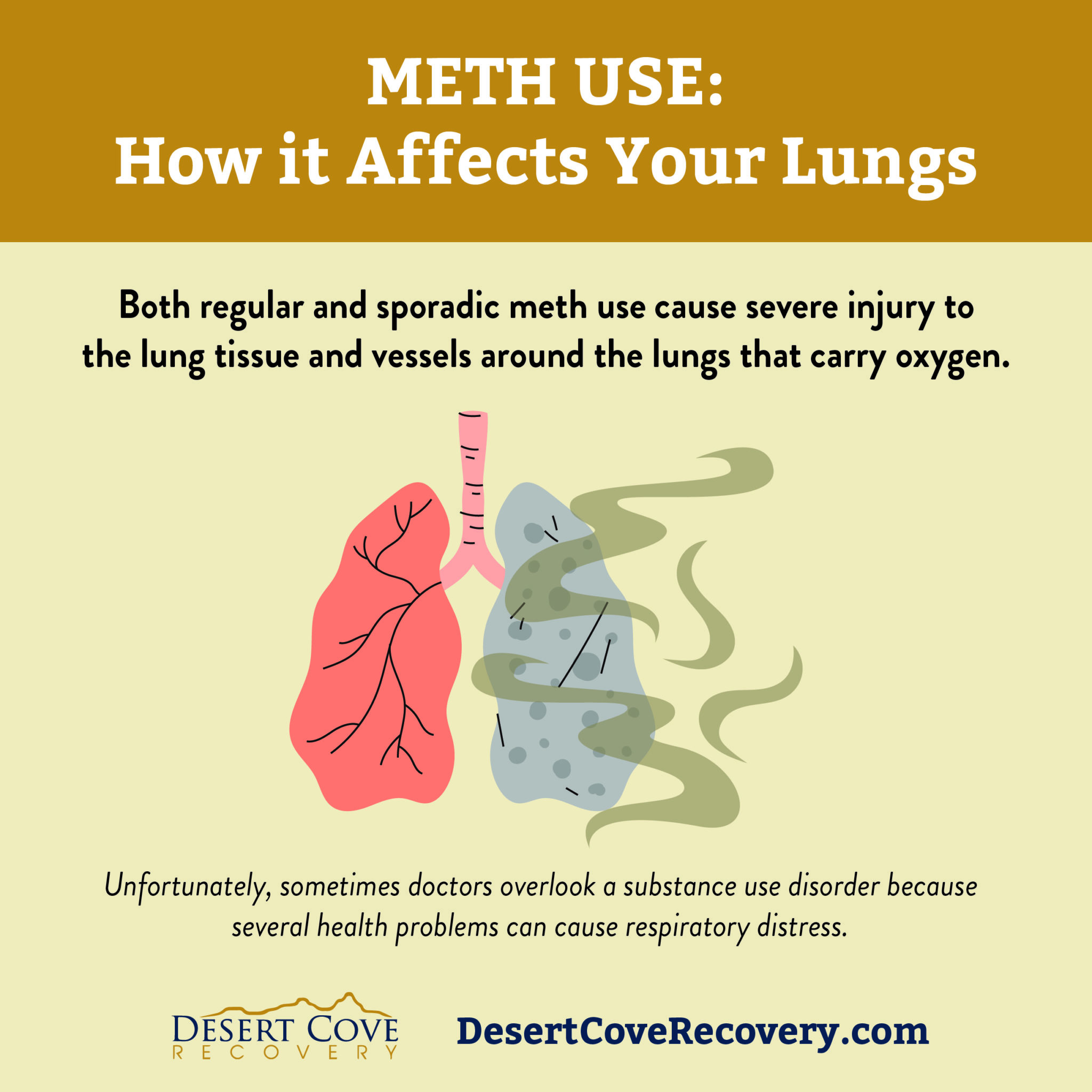 How Meth Use Affects Your Lungs - Desert Cove Recovery