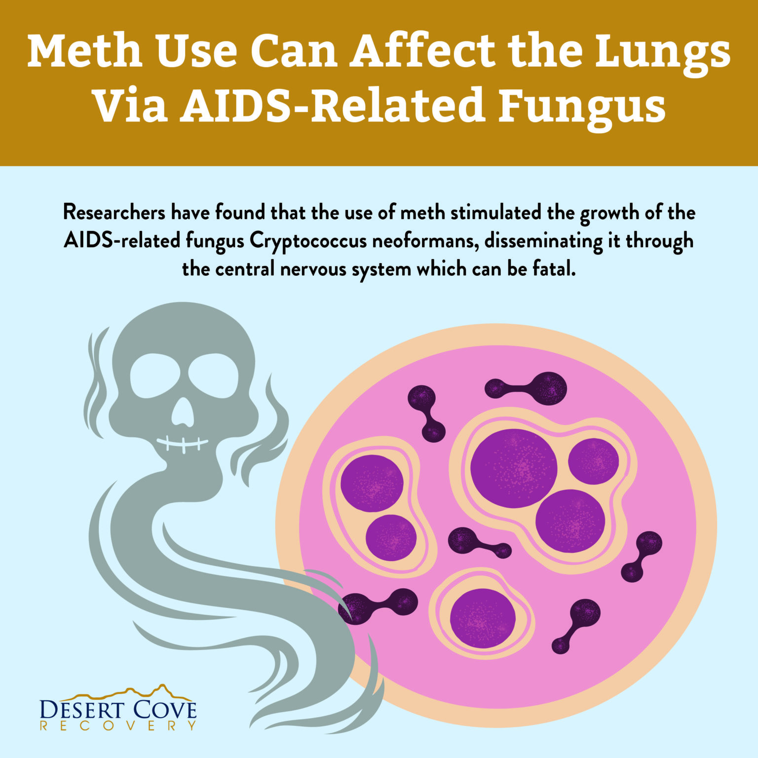How Meth Use Affects Your Lungs - Desert Cove Recovery